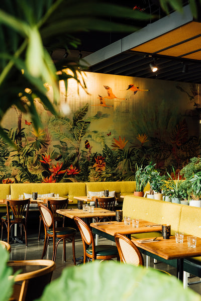 Restaurants – Sésame – Bistros asiatiques