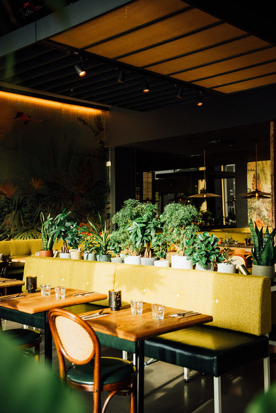 Restaurants – Sésame – Bistros asiatiques